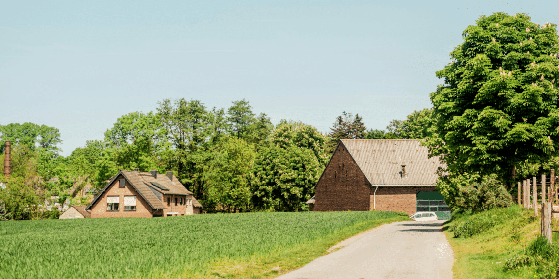 Michael Moos: Real Estate Solutions in the Heart of Texas