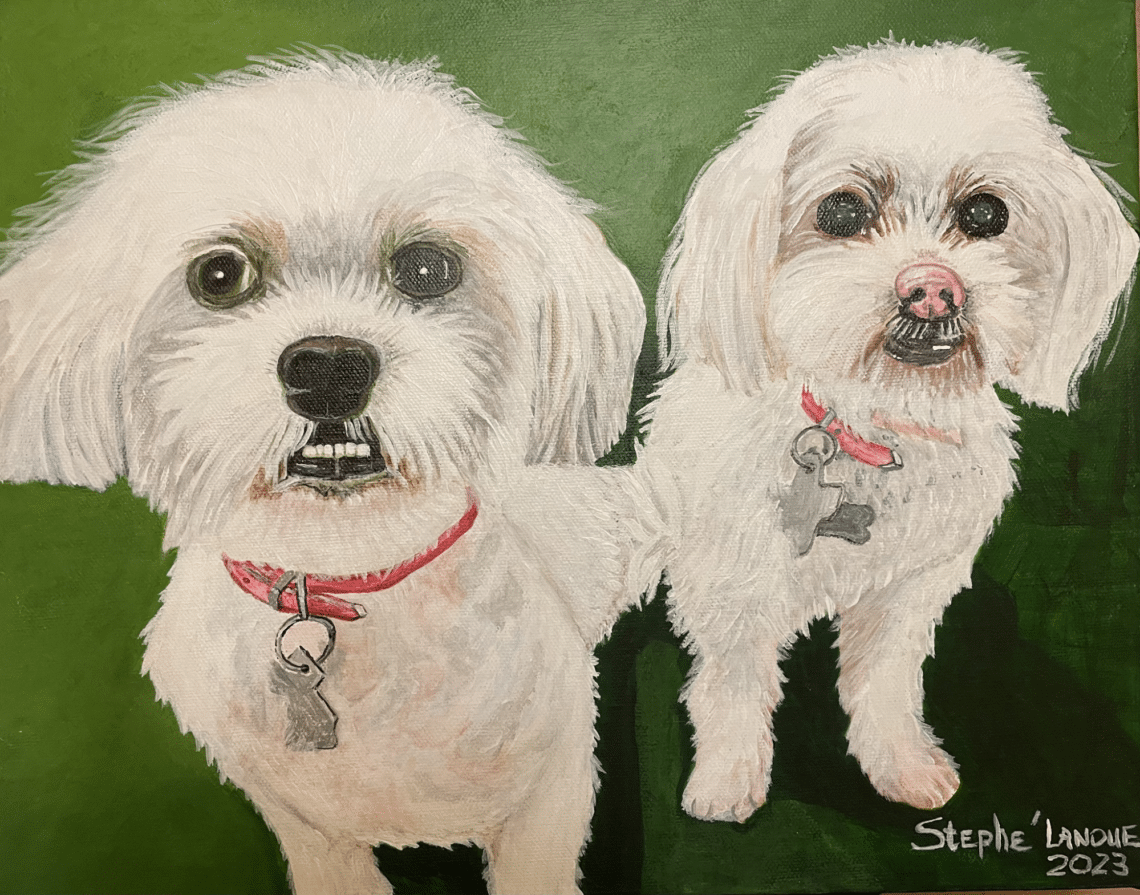 Texas Artist Assists Families in Memorializing Their Pets