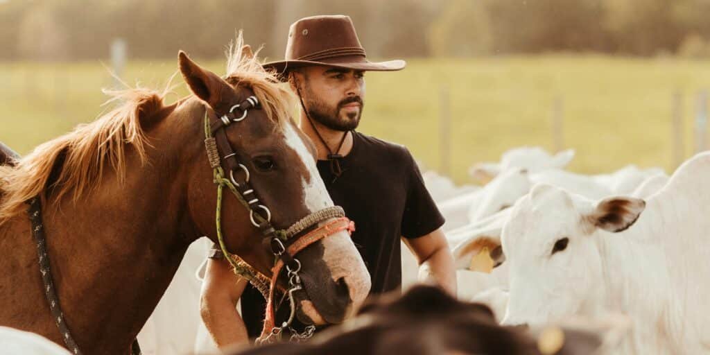 A Day in the Life: Experiencing the Authentic Texas Lifestyle - Texas Today