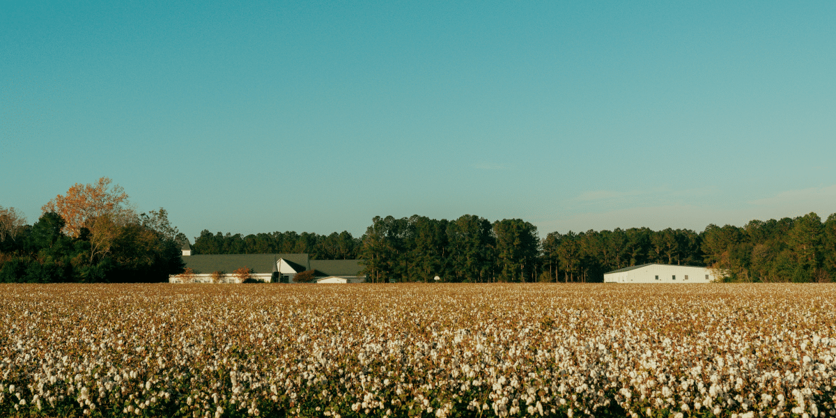 Texas Cotton Farming: How Drones Are Changing the Game